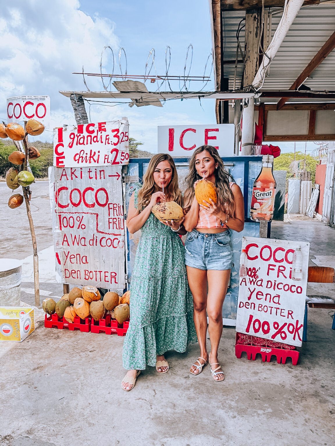 Curaçao Travel Guide and Sample Itinerary - cherrielynn