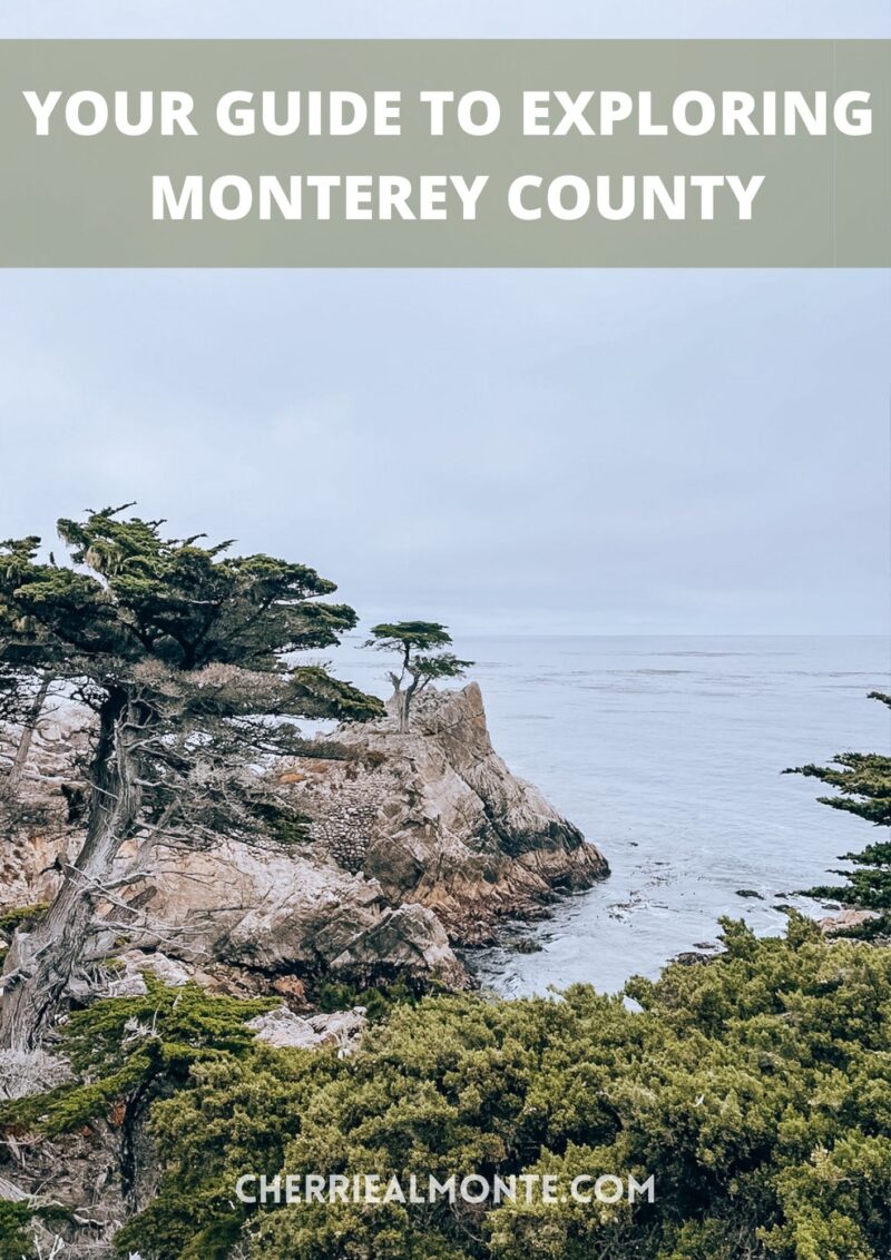 Your Ultimate Travel Guide in Discovering Monterey County, California ...